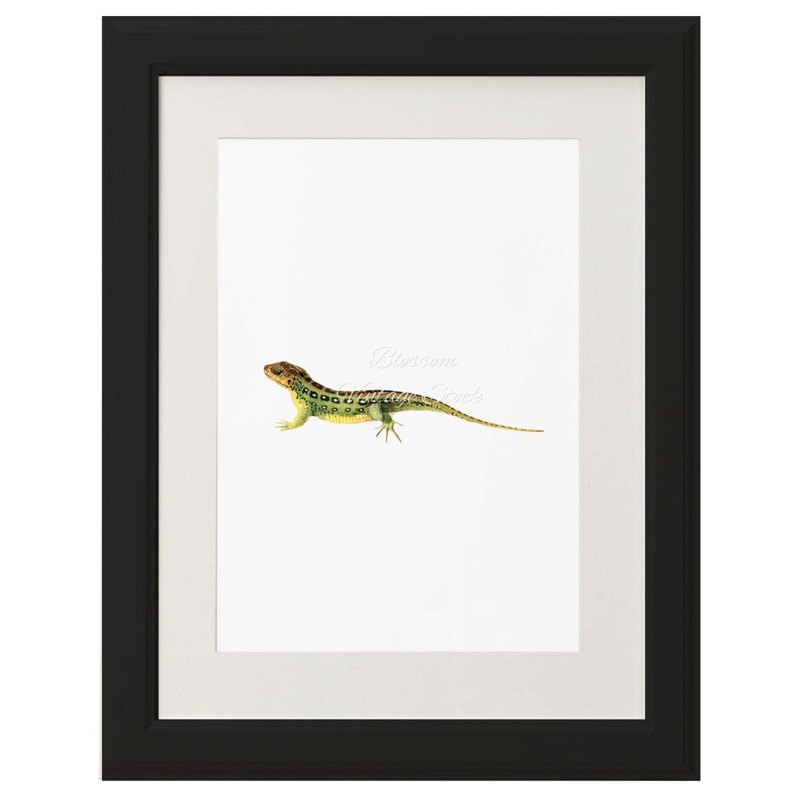 Lizard Print Wall Art Vintage Graphic Green Lizard Gekko | Etsy
