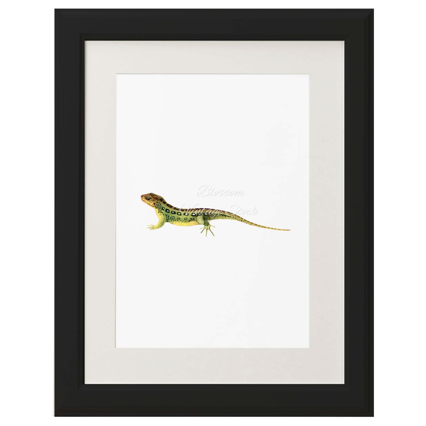 Lizard Print Wall Art Vintage Graphic Green Lizard Gekko | Etsy