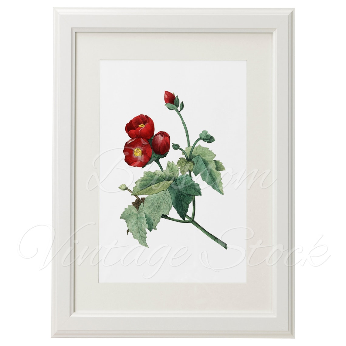 Vintage Botanical Print Antique Botanical Printable Art | Etsy