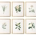 Botanical Printable Set Botanical Prints Set of 6 Prints Wall Art ...