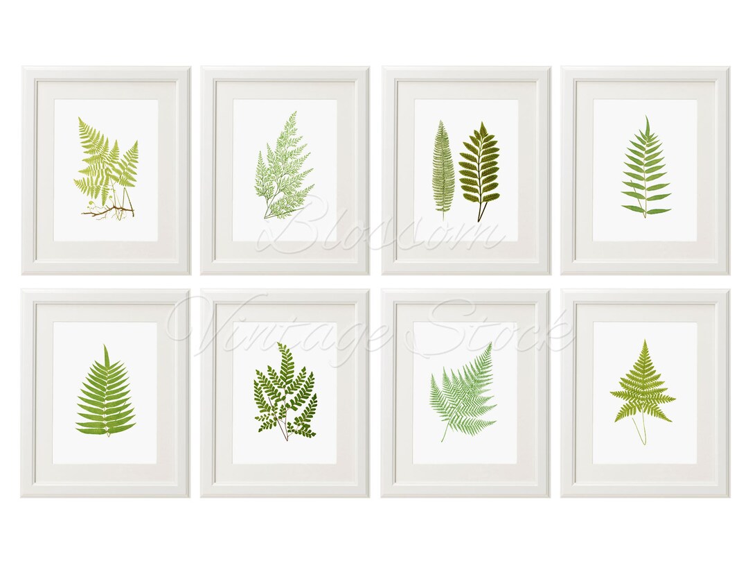 Botanical Printable Set of 8 Leaves Prints Wall Art, Leaf Illustrations ...