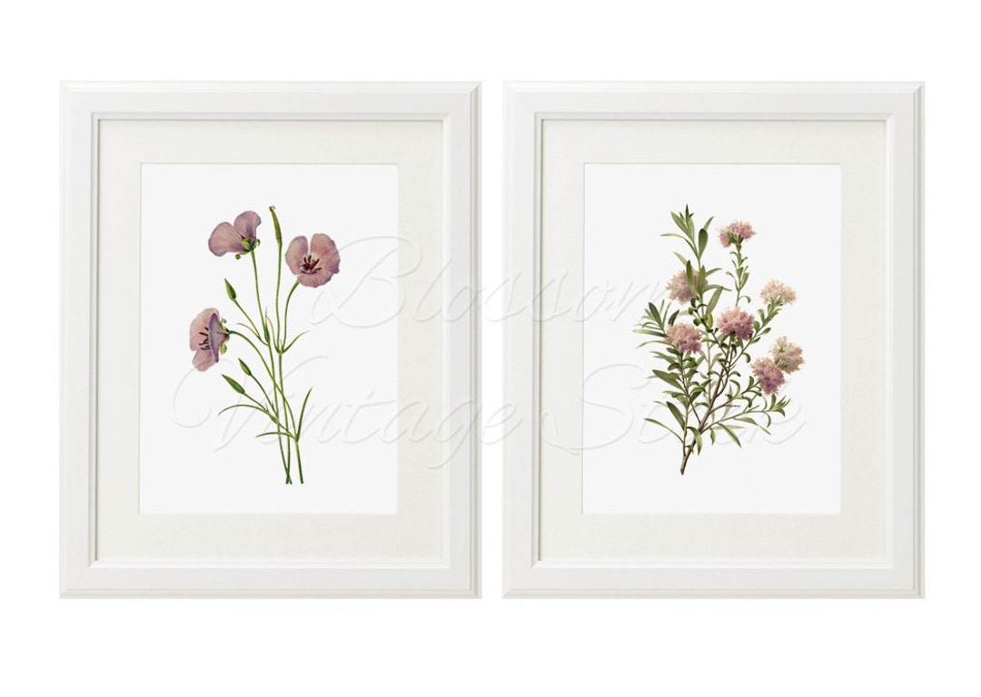 Printable Art Botanical Flowers Print Set Floral Wall Decor - Etsy