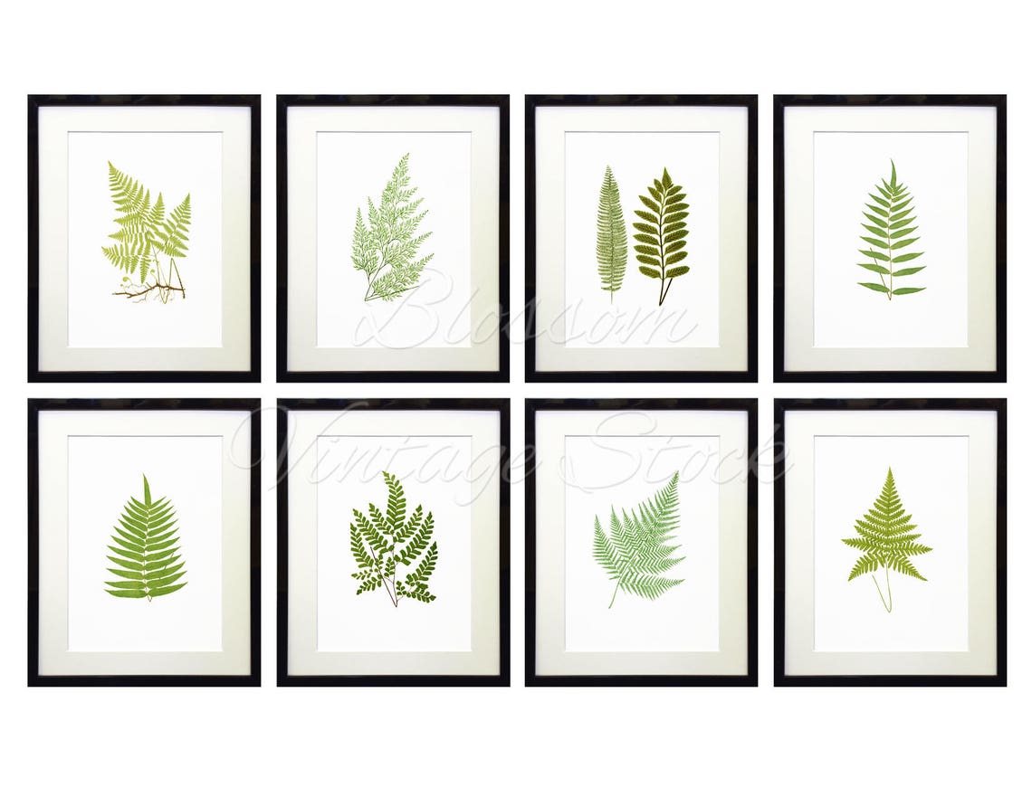 Botanical Printable Set of 8 Leaves Prints Wall Art Leaf - Etsy