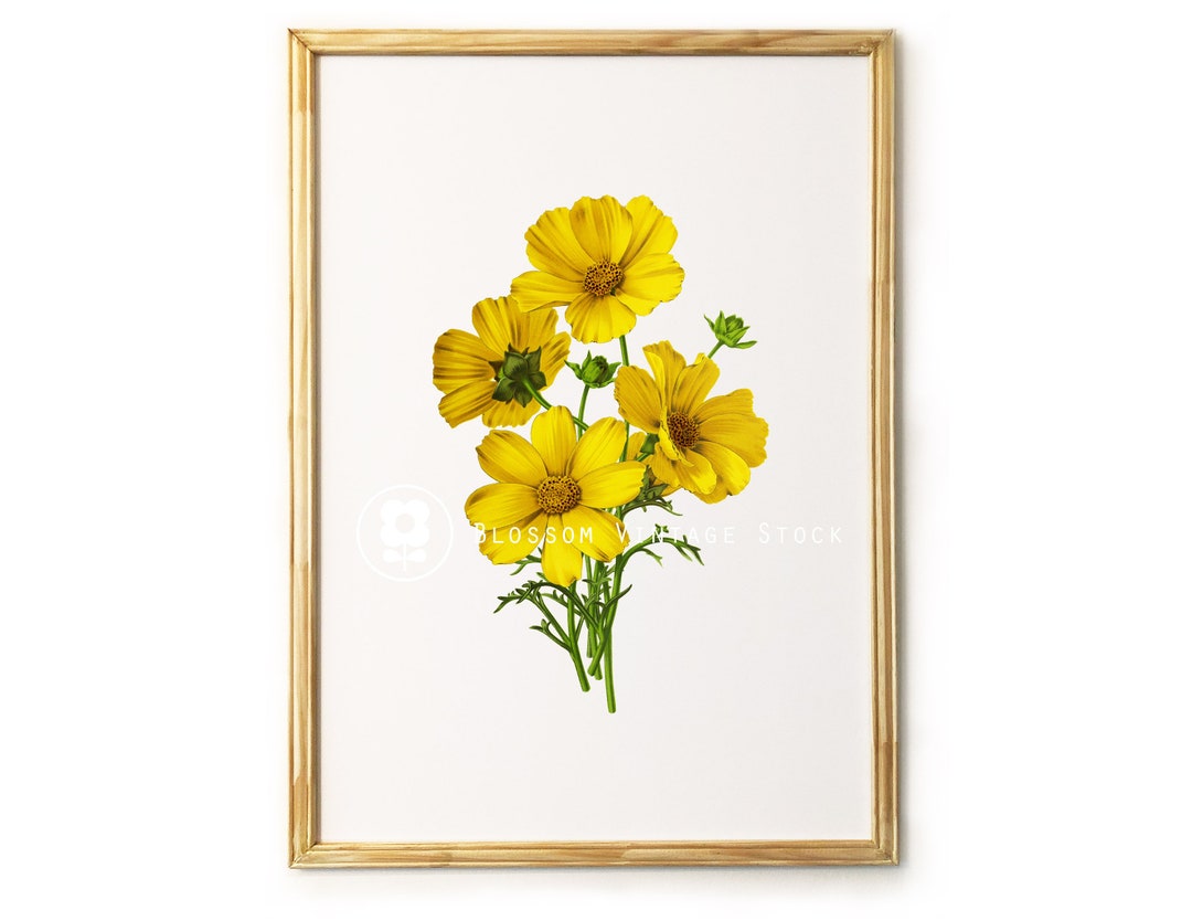 Yellow Flower Wall Art Print Printable Floral Art Vintage - Etsy