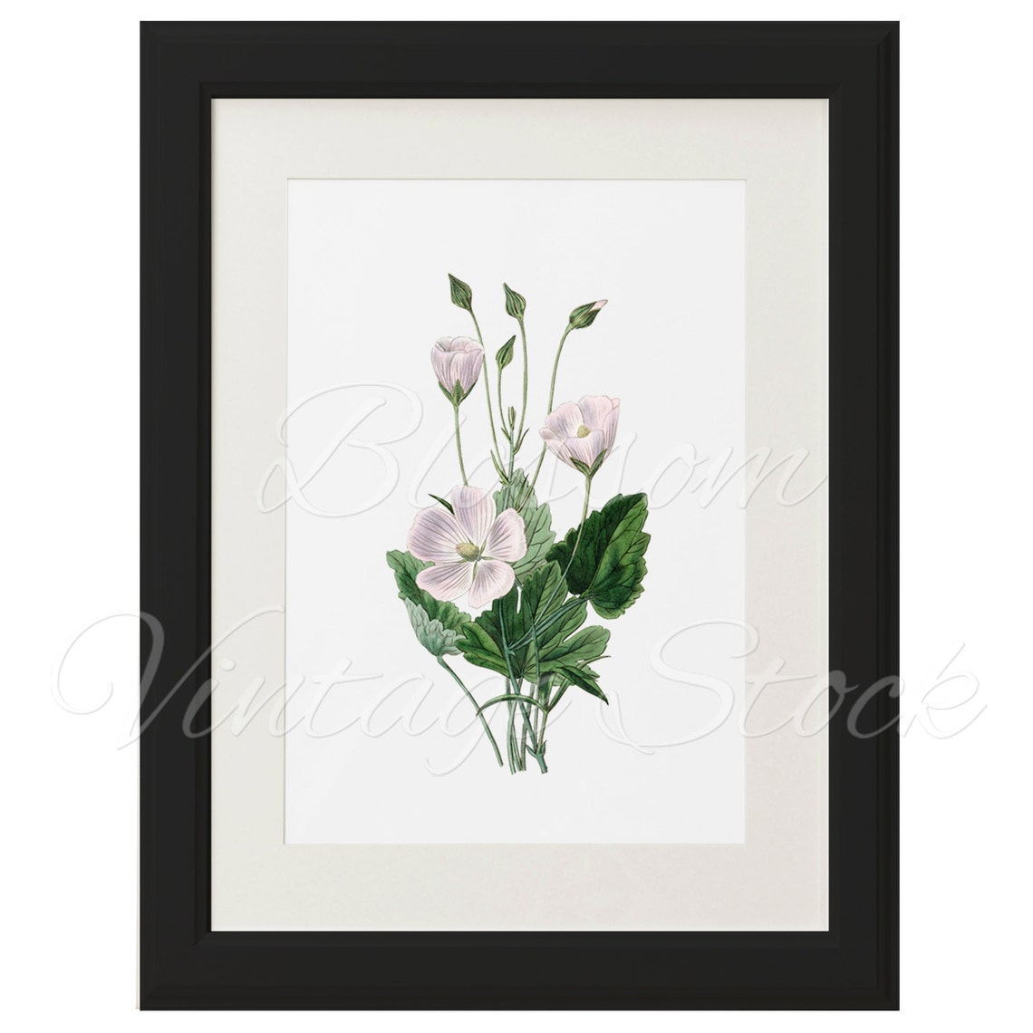 Flower Botanical Printable Art Vintage Botanical antique | Etsy