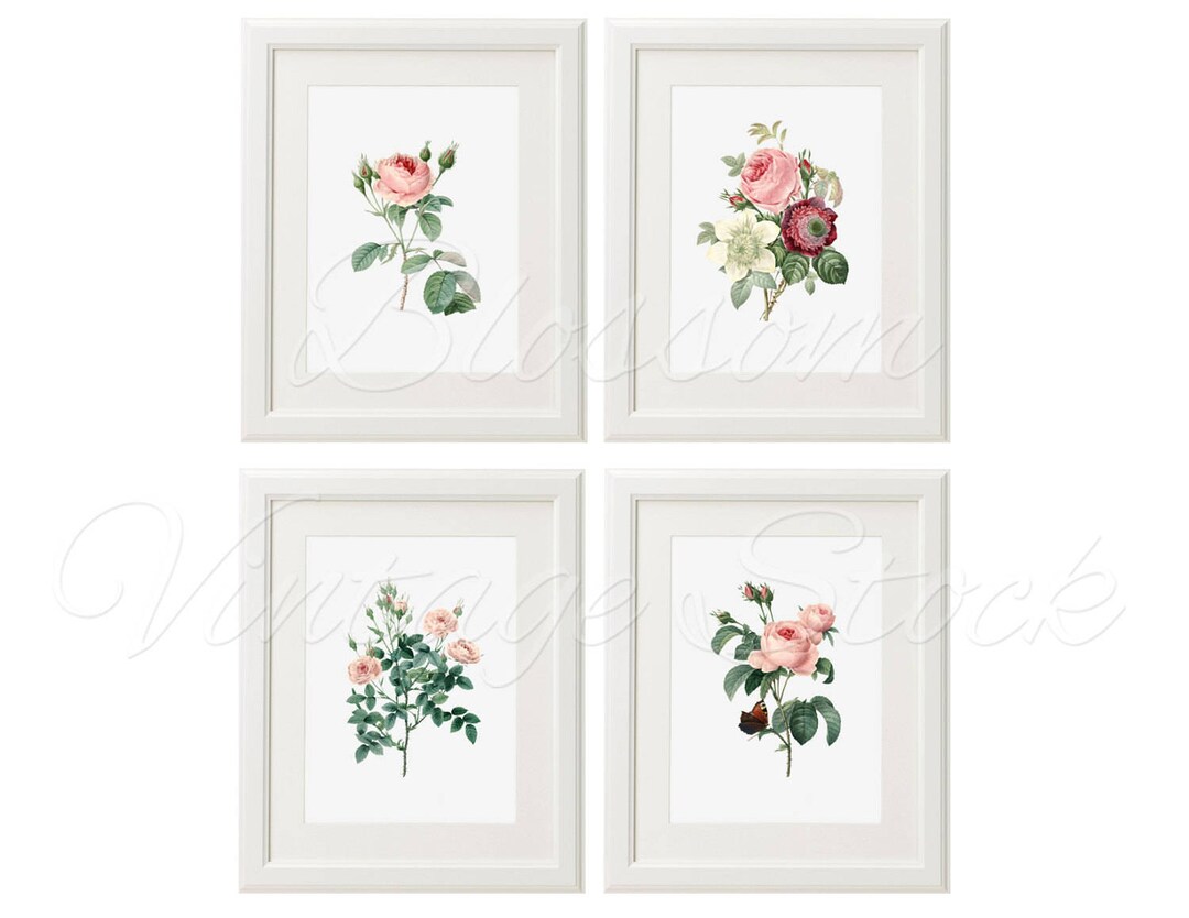 Vintage Roses Prints, Wall Art, Decorative Rose Prints INSTANT DOWNLOAD ...
