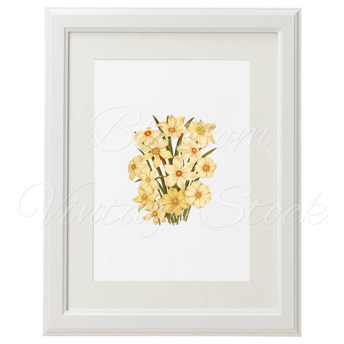 Floral Bouquet Vintage White Flowers Botanical Print Instant | Etsy