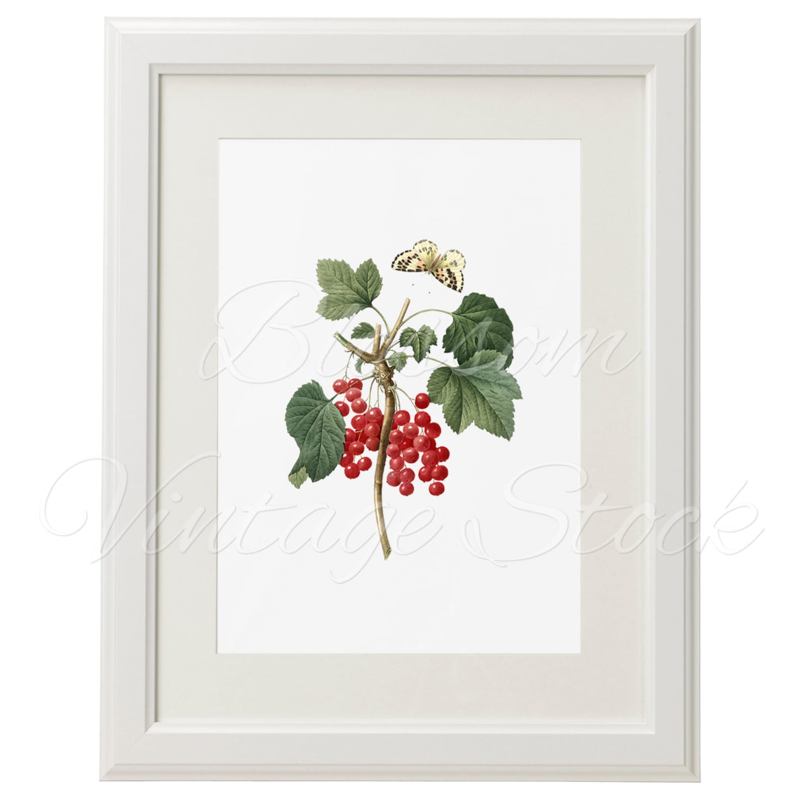 Berry Botanical Print Botanical print Wall Art decor | Etsy