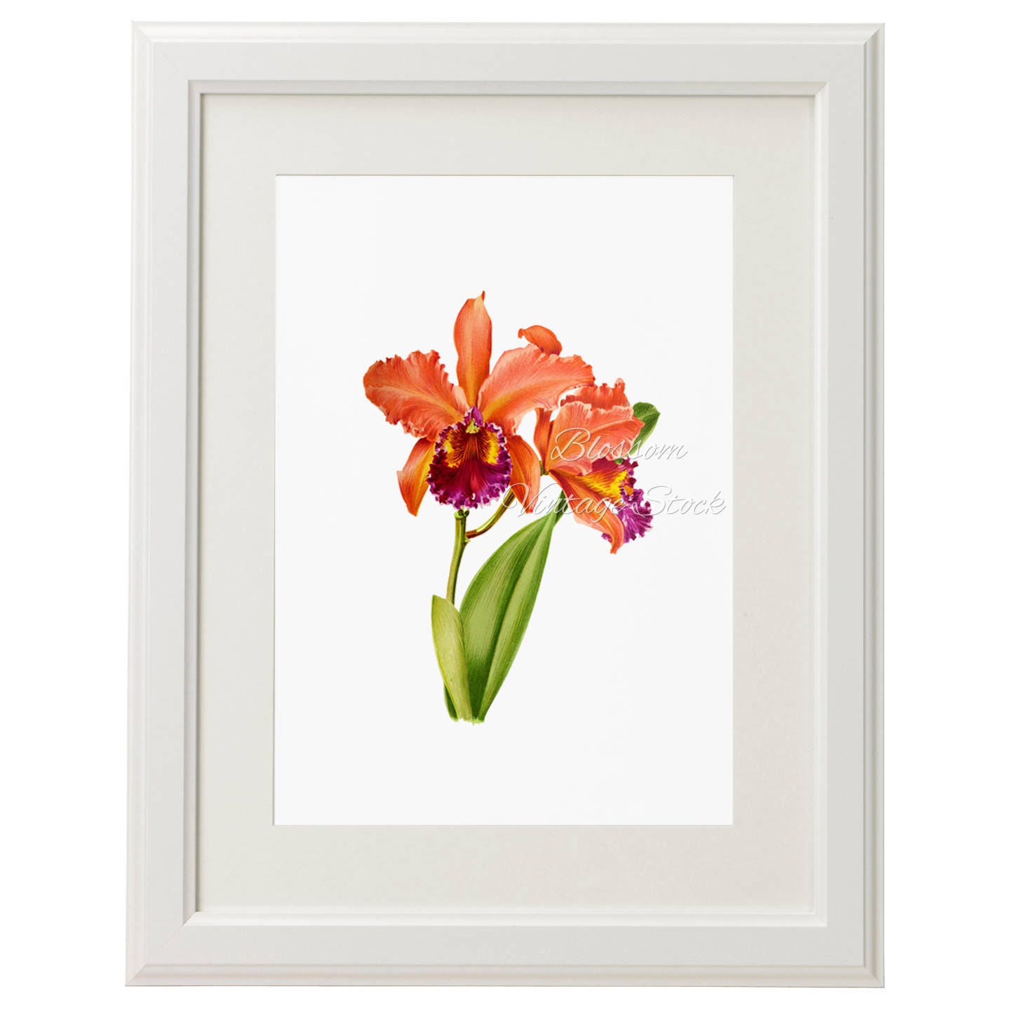 Orchid Printable Illustration Botanical Flower wall art | Etsy