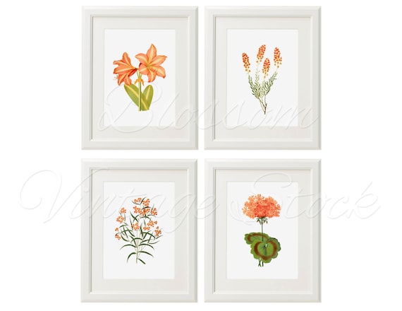 Peach Flowers Botanical Printable Set INSTANT DOWNLOAD Digital | Etsy