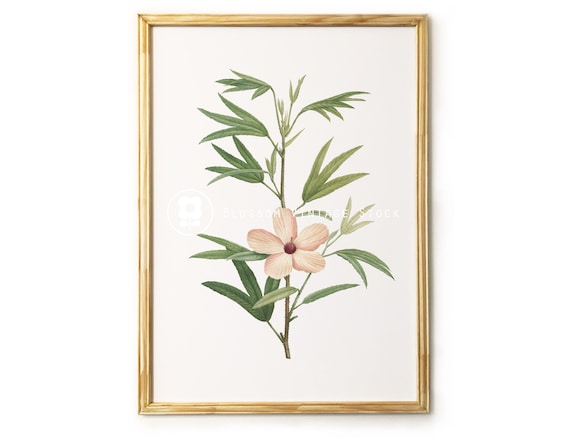 Botanical Prints Botanical Printable Art Flower Digital | Etsy