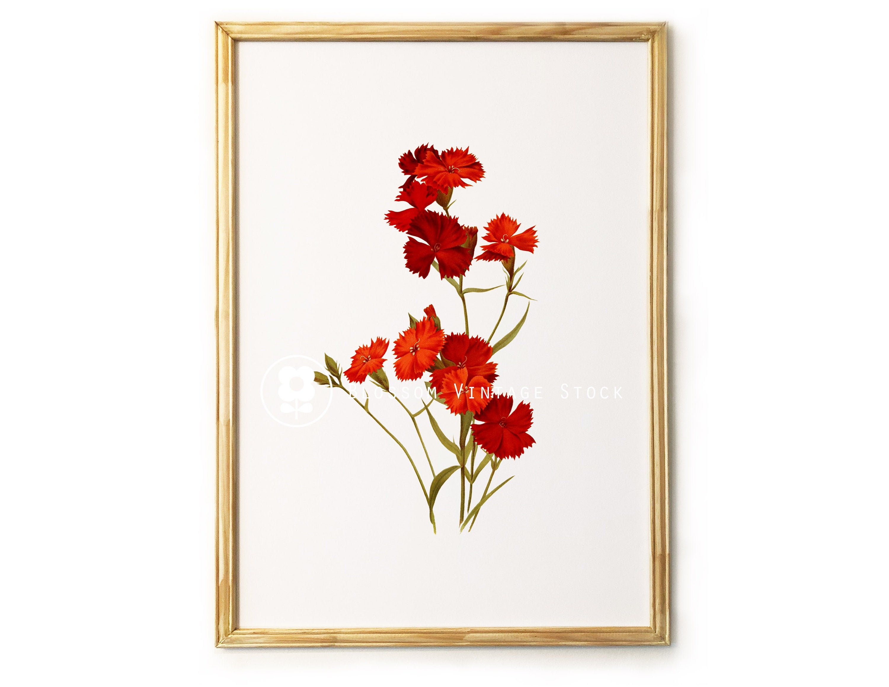 Red Flowers Botanical Print Set Botanical Vintage Botanical - Etsy