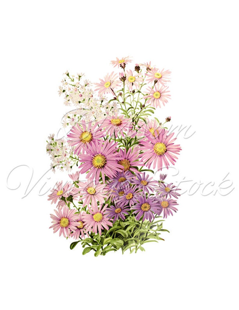 Printable Wall Art Pink flower print Floral bouquet | Etsy