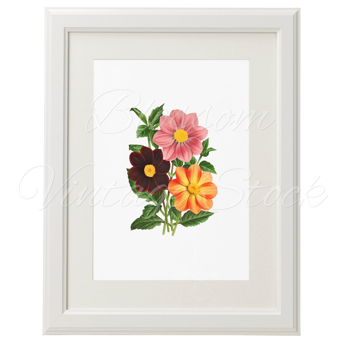 Floral Wall Art Print Vintage Flower Print Vintage Flower | Etsy