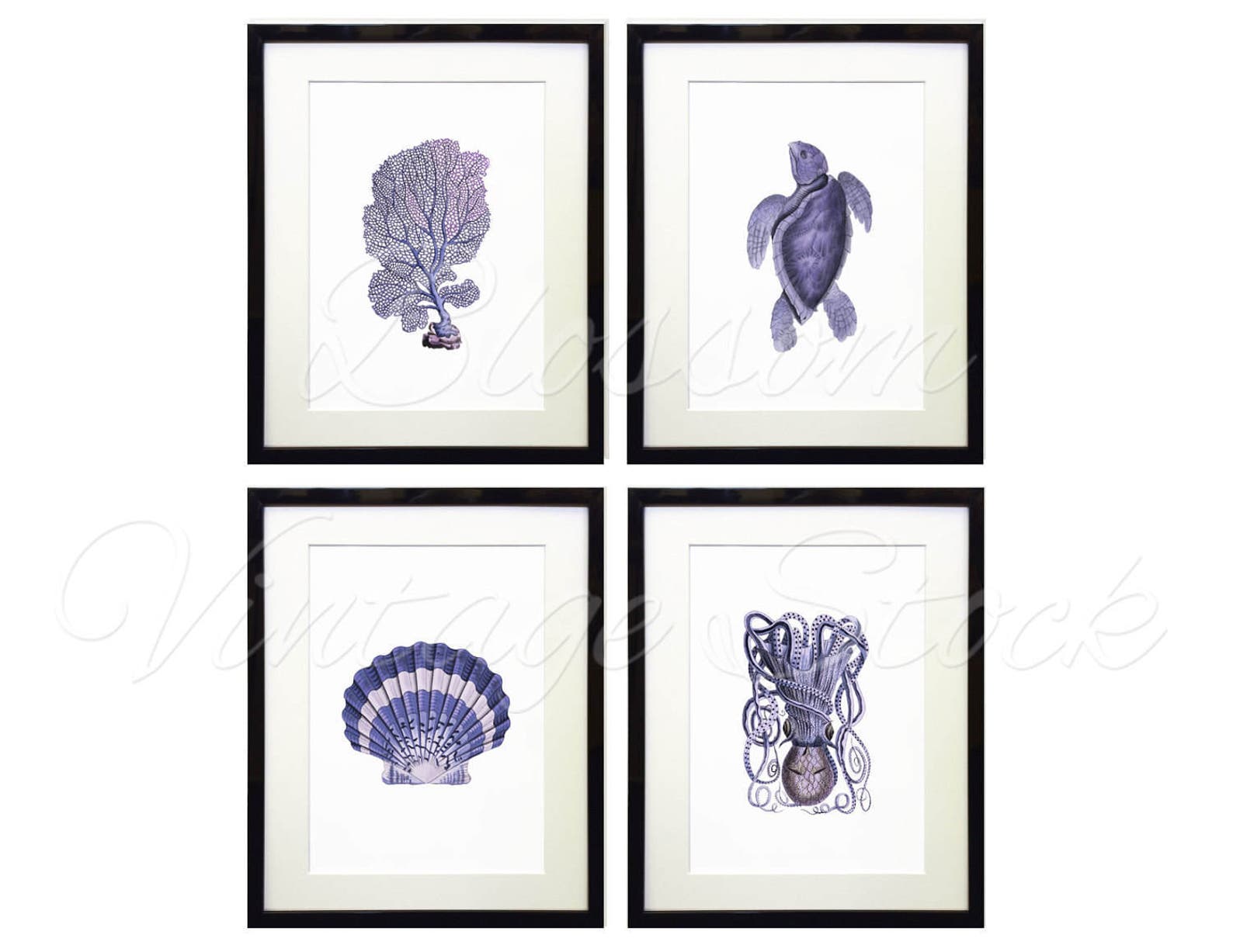 Sea Coral Printable Set Blue Ocean Prints Marine Prints | Etsy