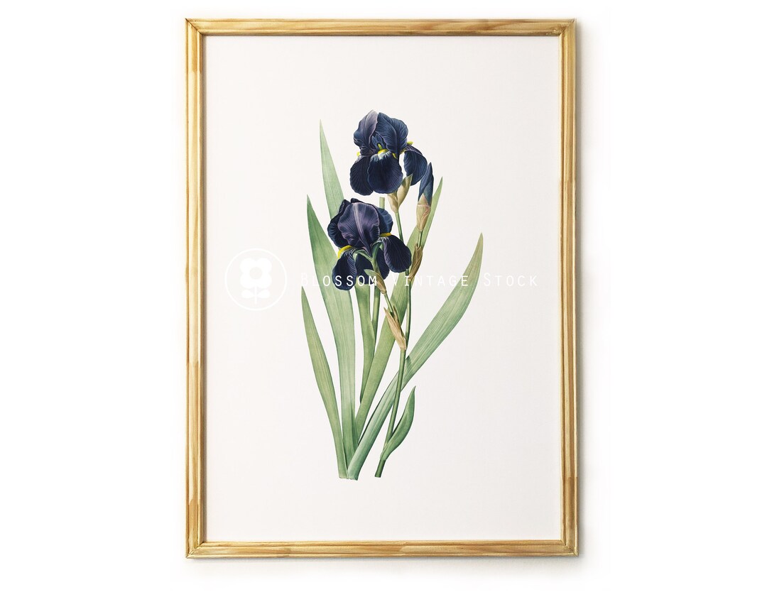 Blue Flowers Botanical Printable Botanical Blue Flower Digital - Etsy