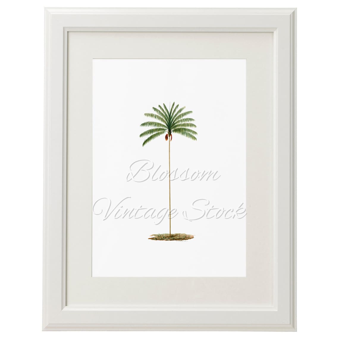 Palm Tree Botanical Print Palm Art Printable Botanical | Etsy