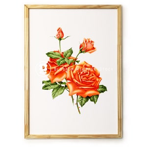 Rose Print, Floral Wall Art, Botanical Print, Flower Dorm Wall Art ...