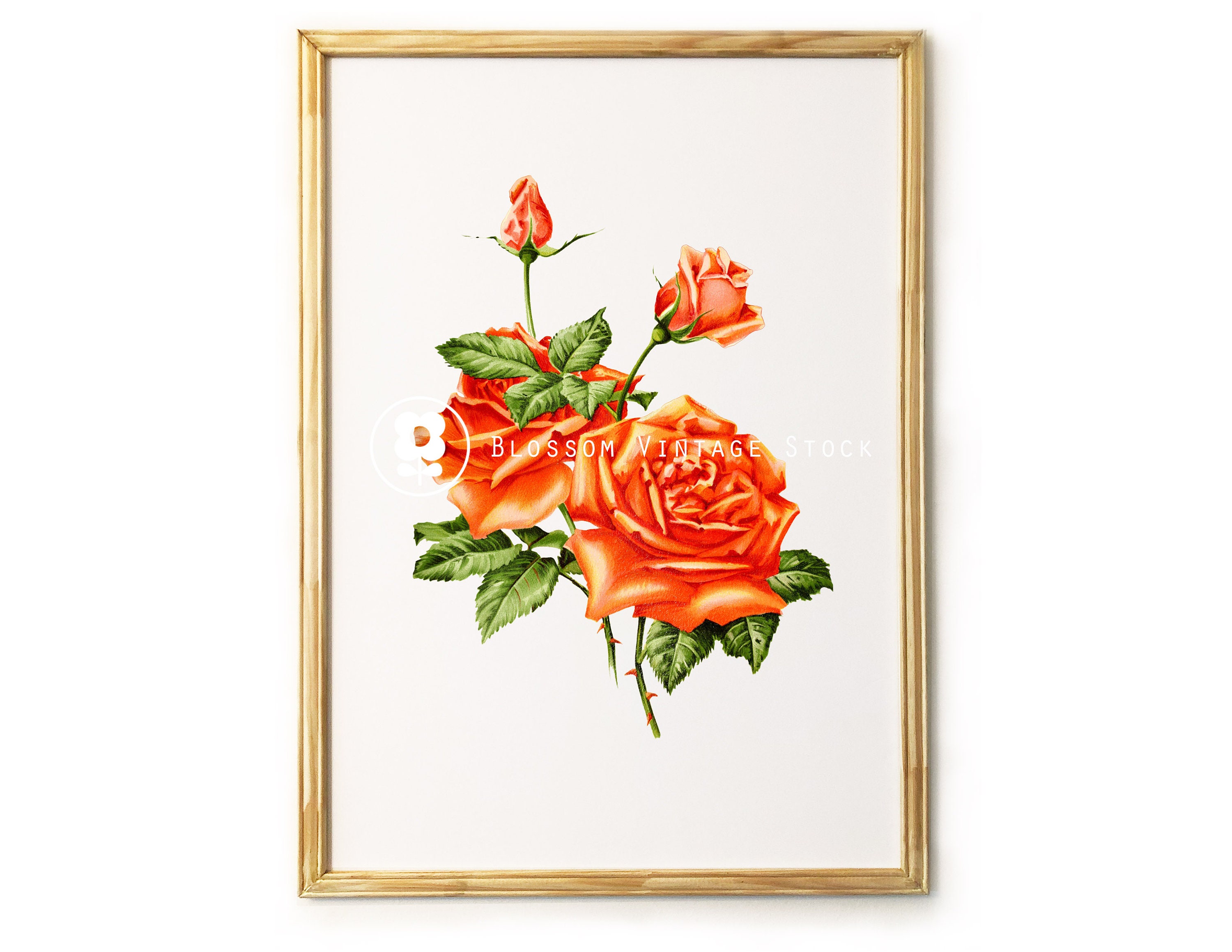 Rose Print Floral Wall Art Botanical Print Flower Dorm Wall | Etsy