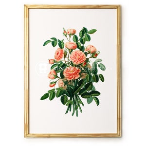 Roses Printable Art, Wall Art, Flower Pink Roses Digital Image, Vintage ...