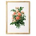 Roses Printable Art, Wall Art, Flower Pink Roses Digital Image, Vintage ...
