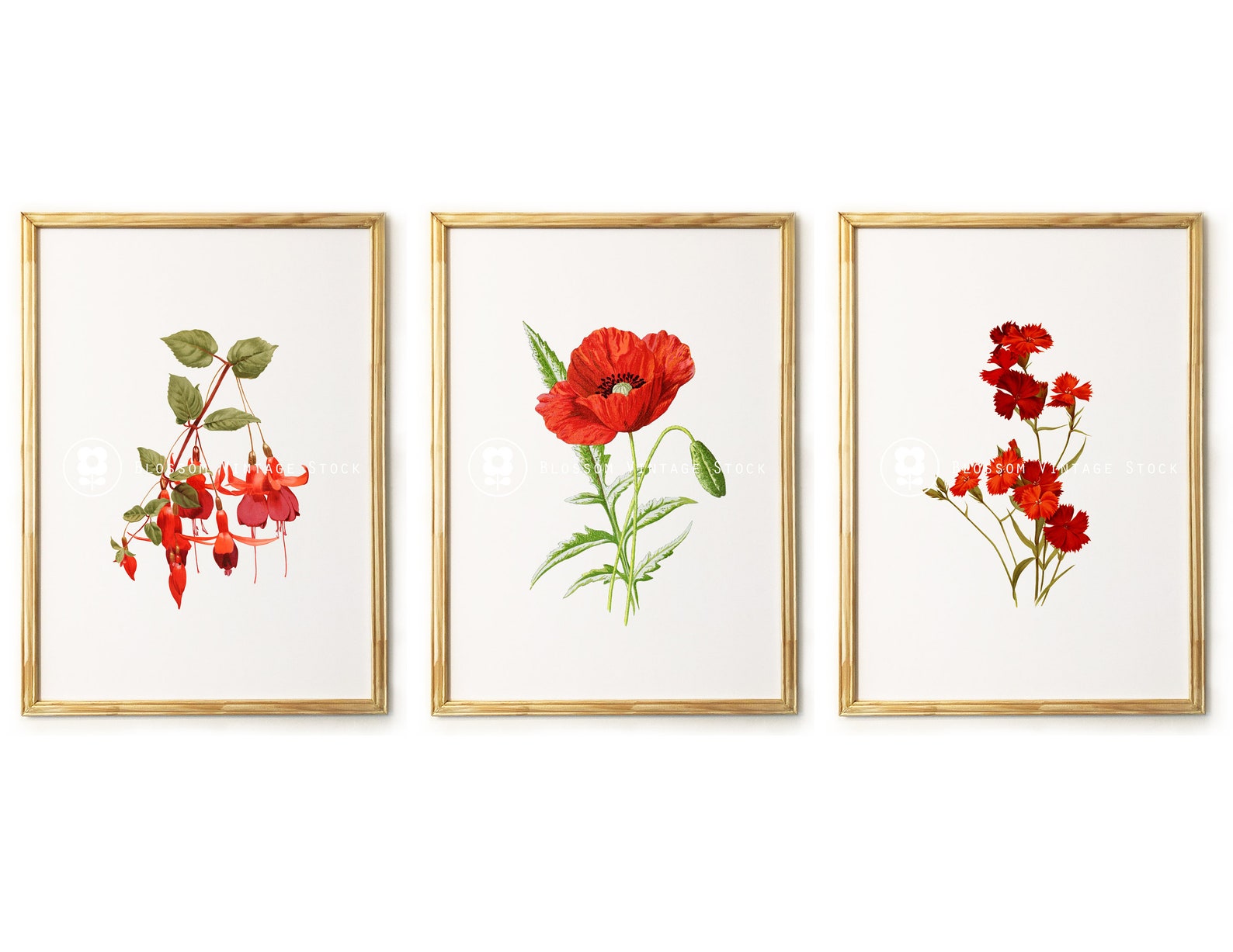 Red Flowers Botanical Print Set Botanical Vintage Botanical - Etsy