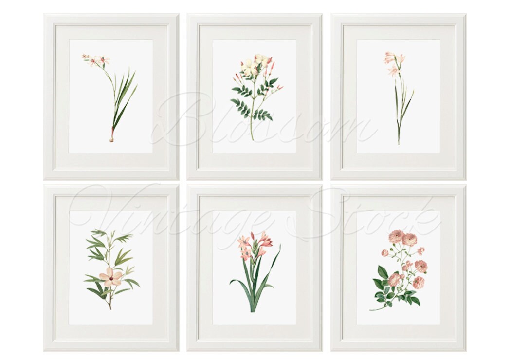 Botanical Printable Set Botanical Print Set Pink Flowers | Etsy