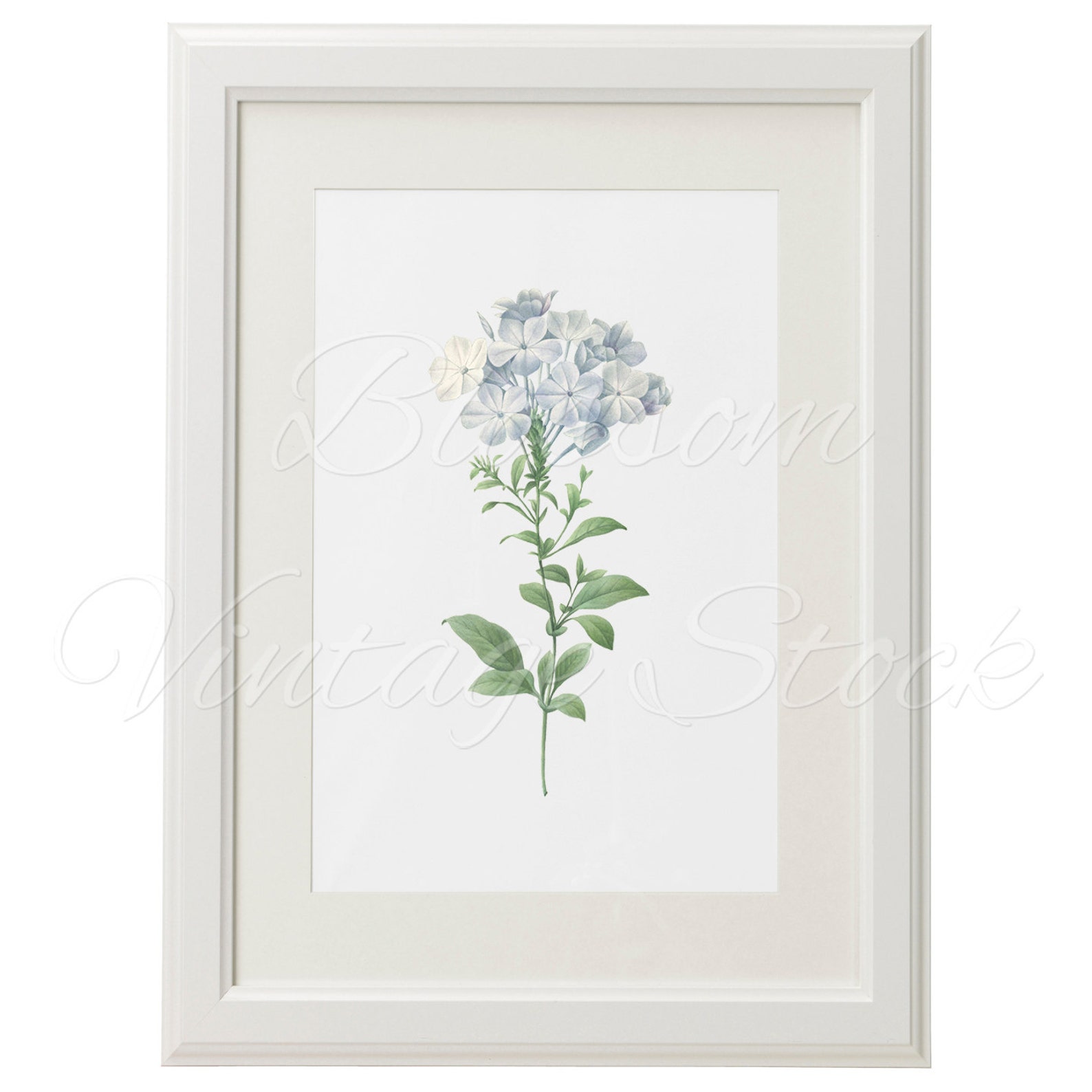 Light Blue Flowers Botanical Print Botanical Printable Art | Etsy