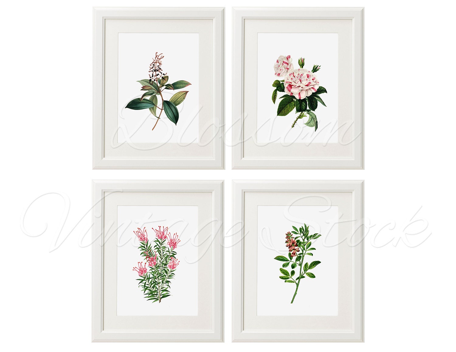 Flower Print Art Botanical Printable Set Pink Flower | Etsy