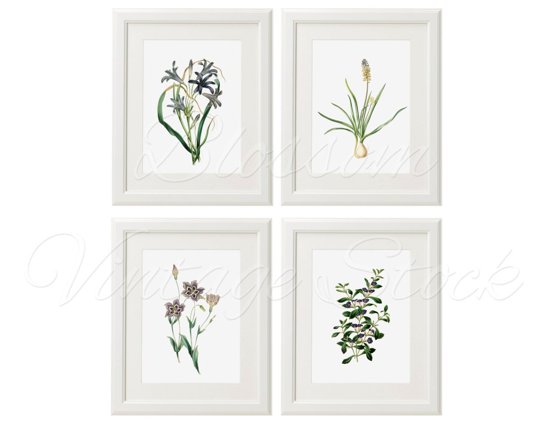 Botanical Printable Set Blue Flowers Prints INSTANT DOWNLOAD Digital ...