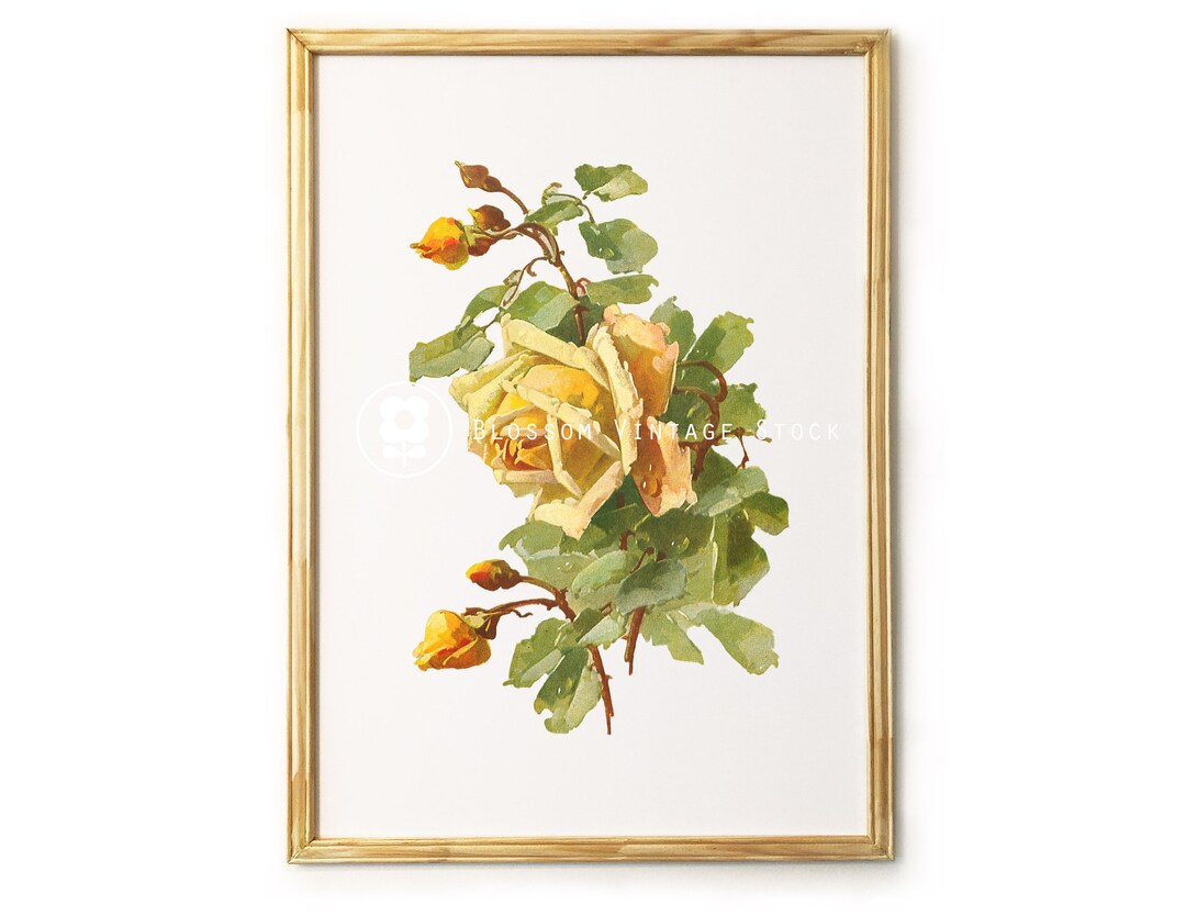 Yellow Rose Printable Art Wall Art Floral Vintage Rose - Etsy