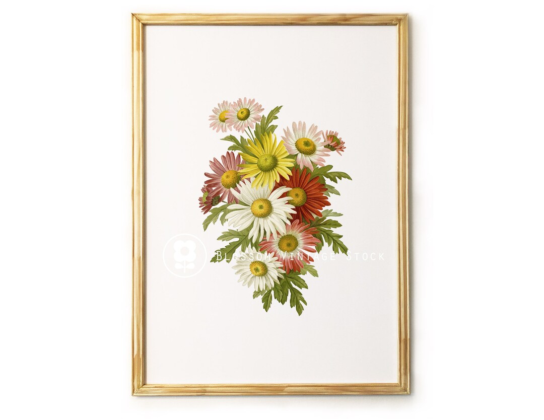 Vintage Floral Print, Vintage Flower Illustration, Wall Art Print ...