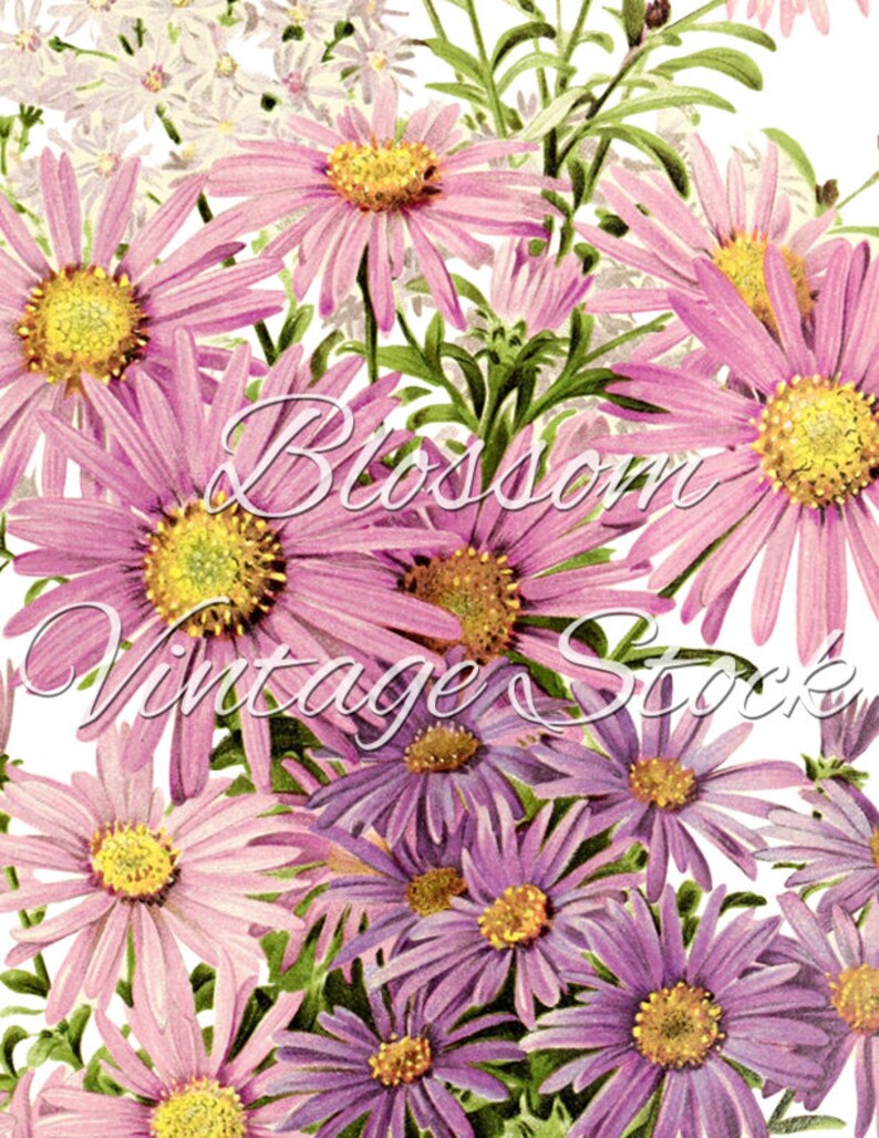 Printable Wall Art Pink flower print Floral bouquet | Etsy