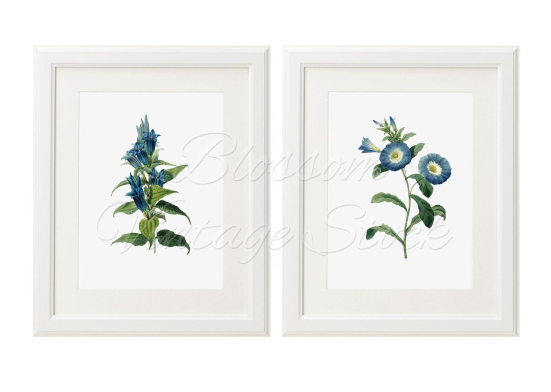 Botanical Printable Art Blue Flowers Botanical Flowers Illustrations ...