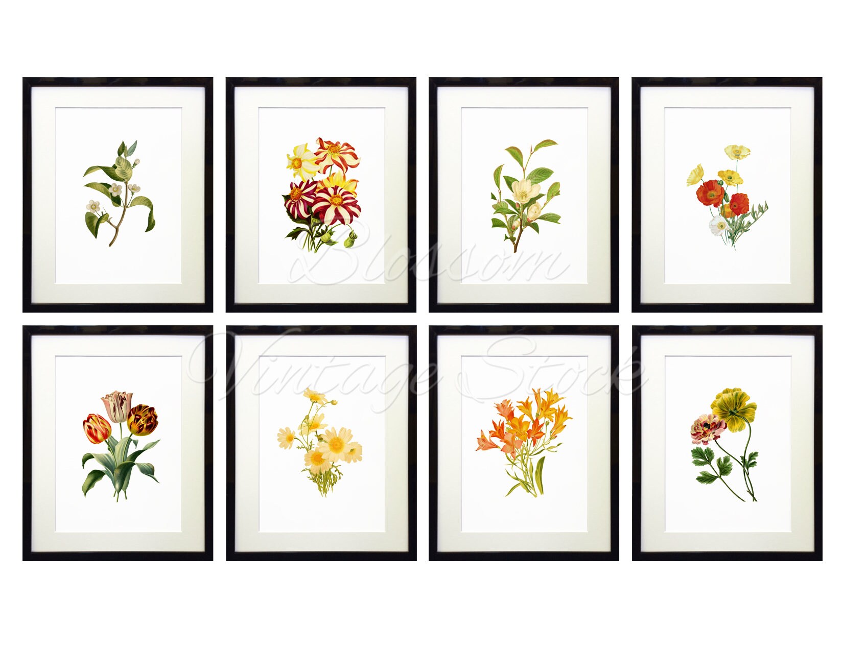 Botanical Printable Set Floral Wall Art Prints Wall Decor - Etsy