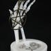 Skeleton Hand Jewellery Stand - Etsy