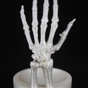 Skeleton Hand Jewellery Stand - Etsy