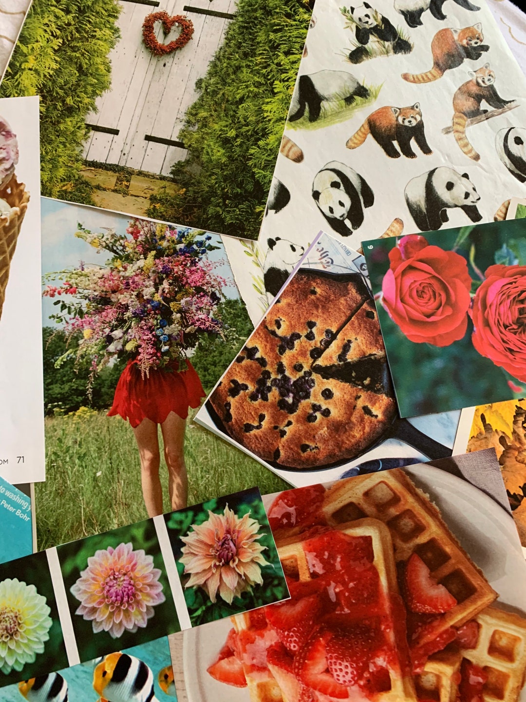 Bulk Magazine Clippings for Journaling, Vision Boards and Collage Art ...
