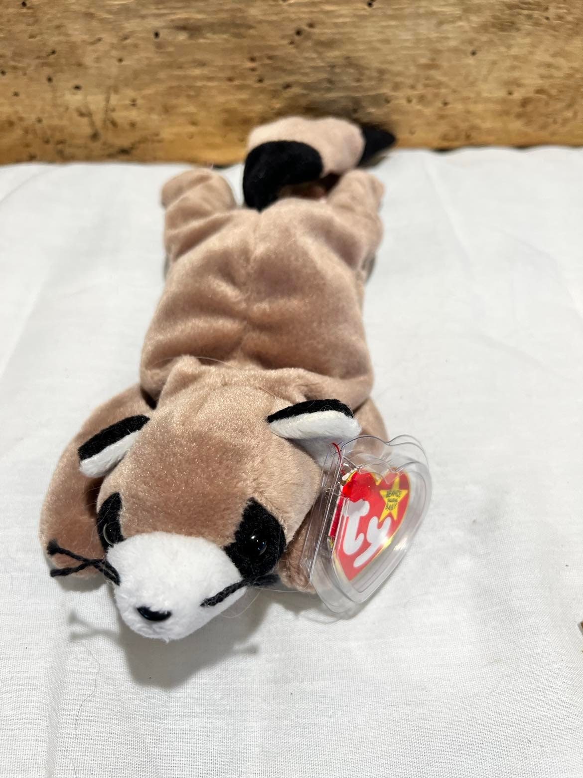 TY "ringo" the Raccoon Beanie Baby - Etsy