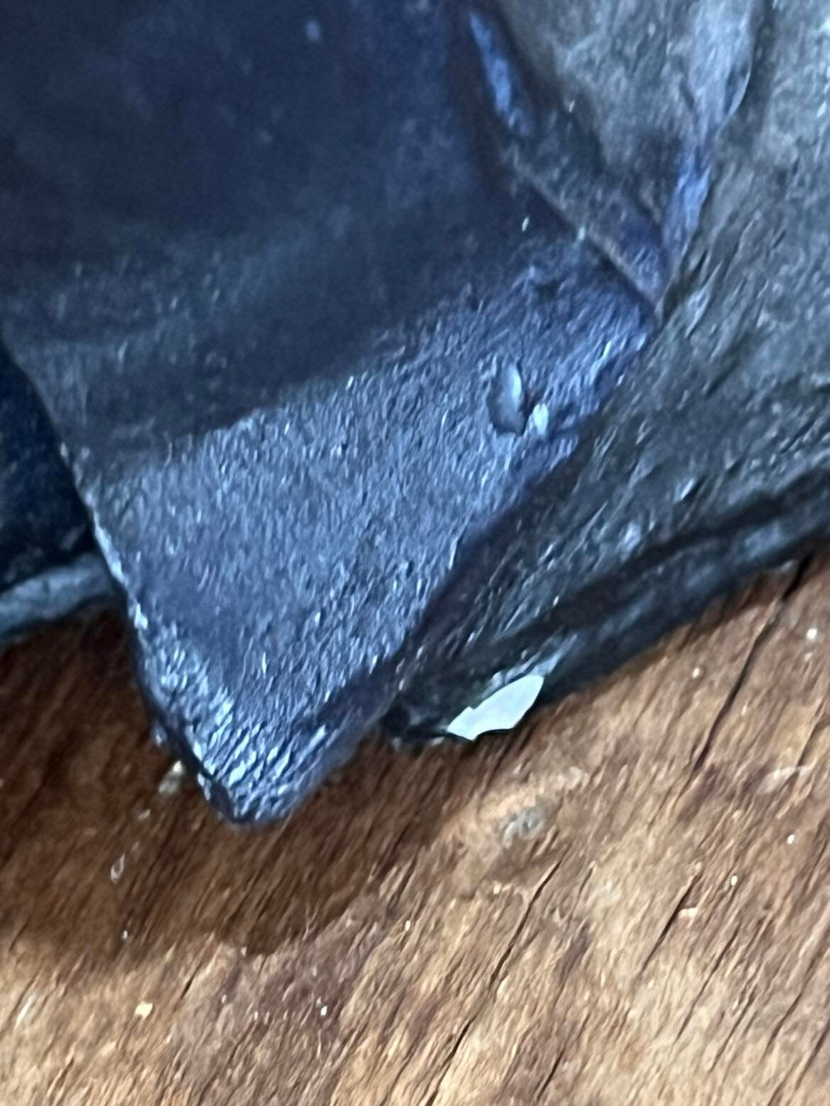 Lou Holtz Thank You Statue-rare - Etsy