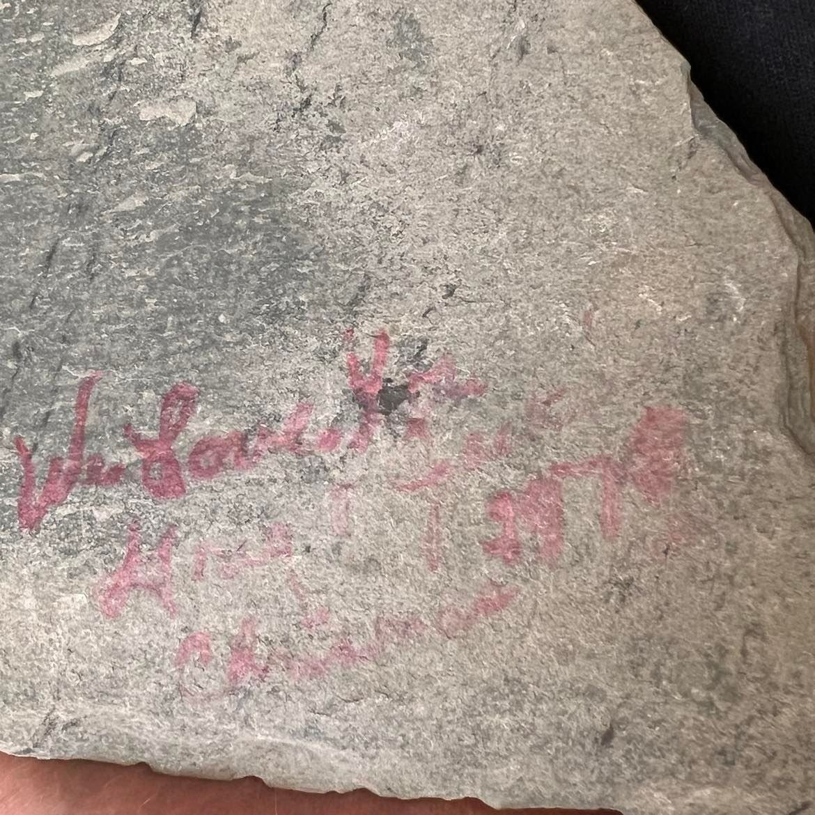 Sesame Street Handpainted Vintage Characters on Slate Hangers - Etsy