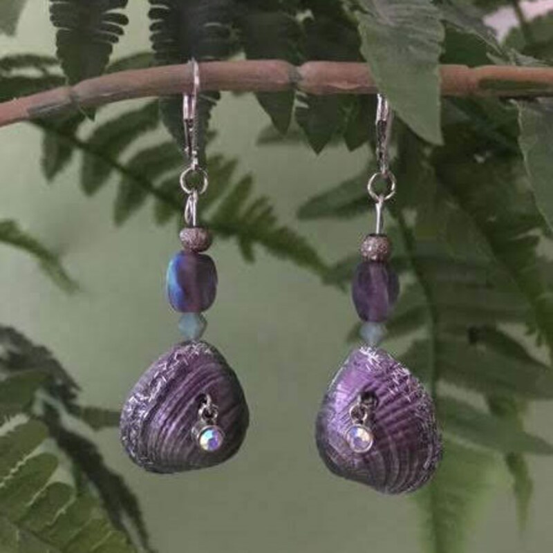 Seashell Earrings - Etsy