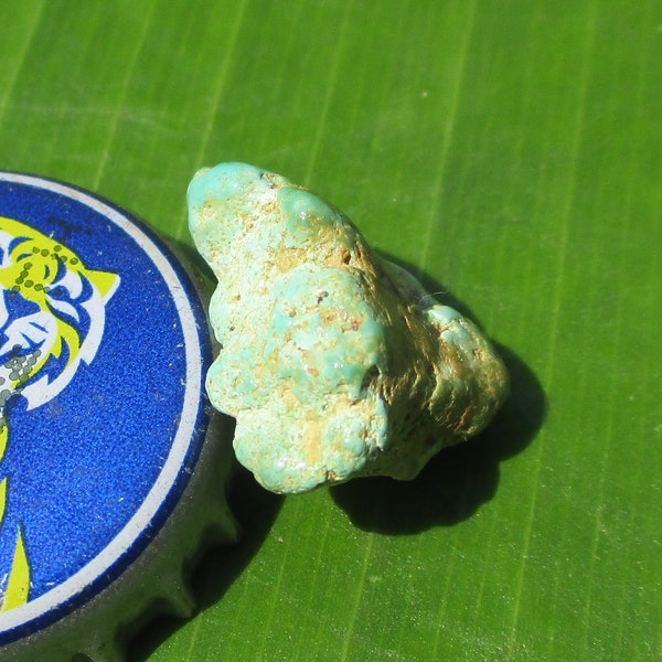 Hachita Turquoise - Etsy