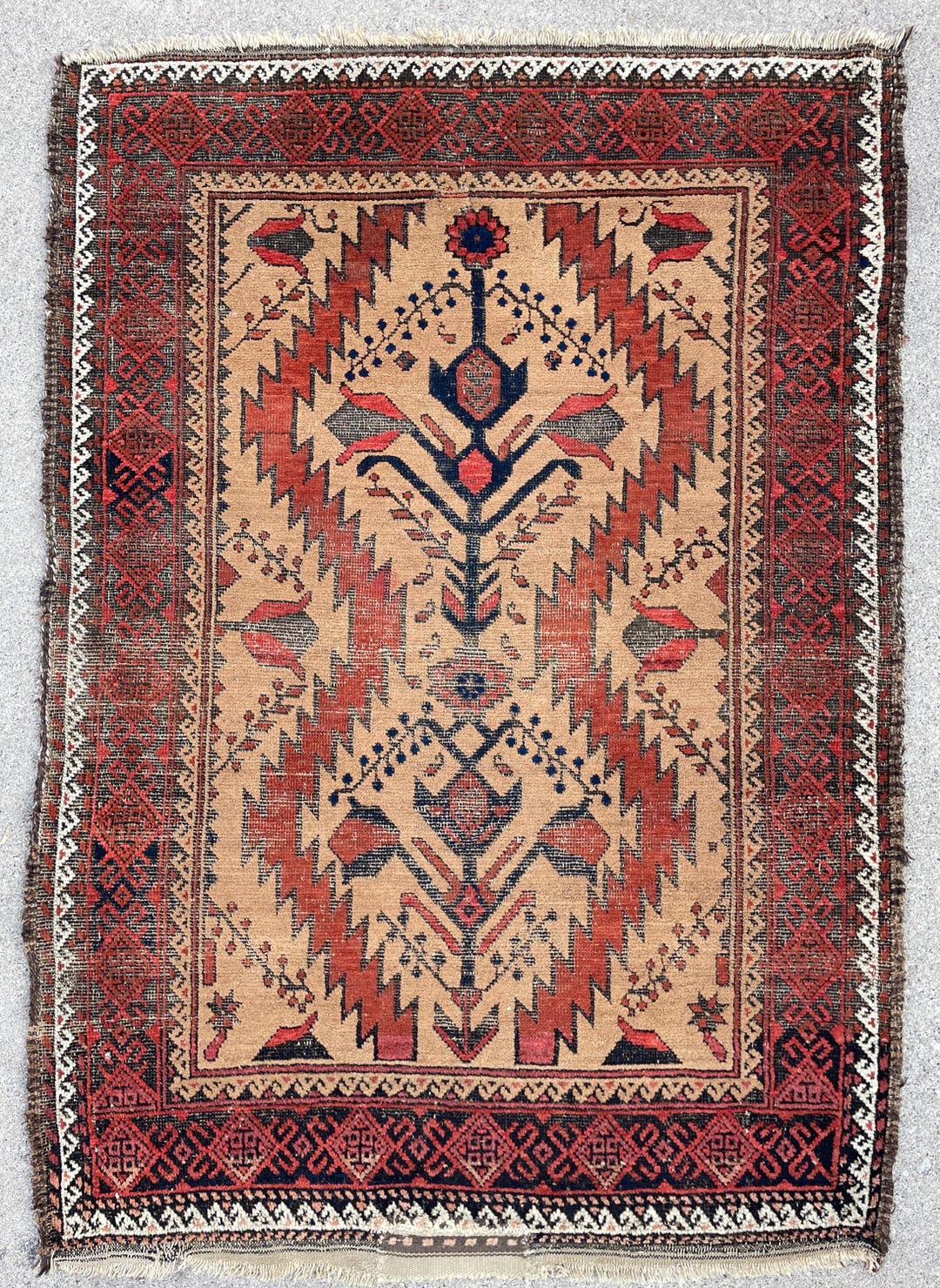 Antique Ferdows Baluch Rug: 19th Century Tribal Camel Wool Rug - Etsy