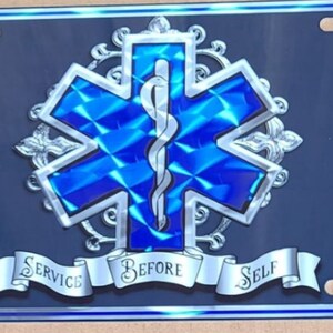 EMS License Plate - Etsy