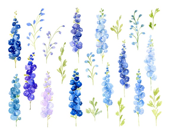 Indigo Plant Clipart