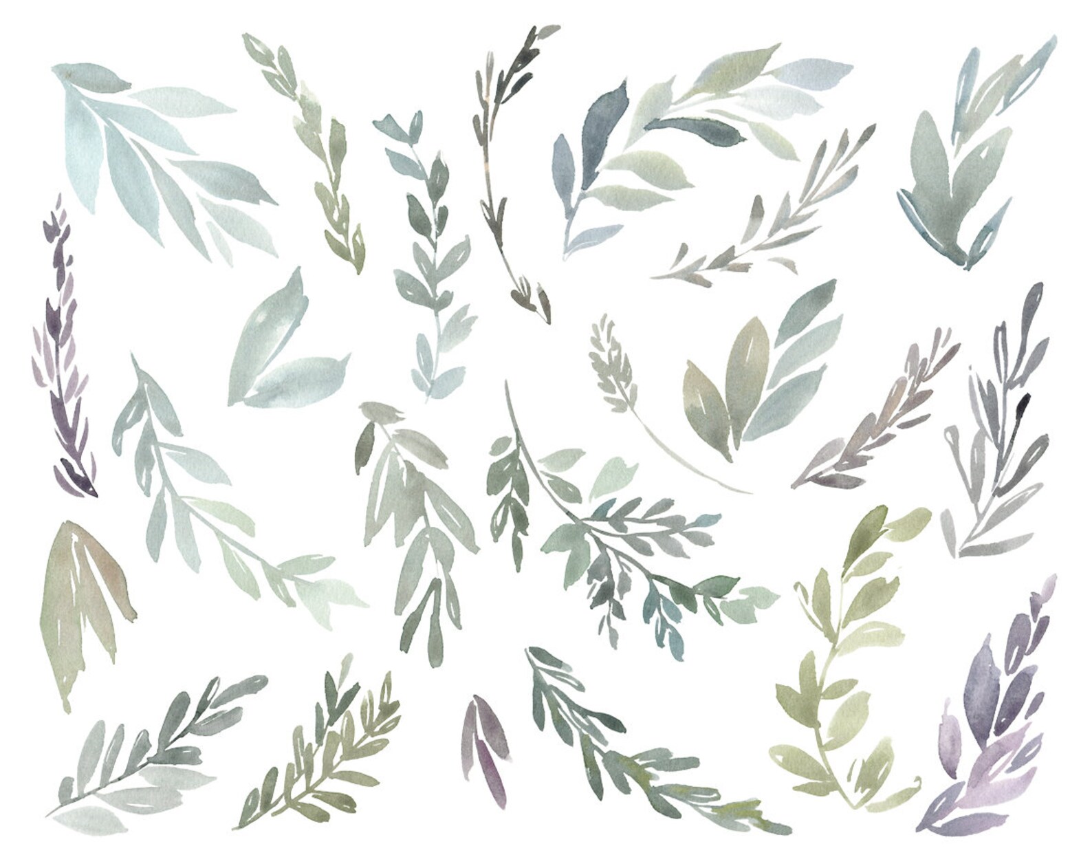 Watercolor Neutral Leaves Clipart Gray Light Green Greenery - Etsy