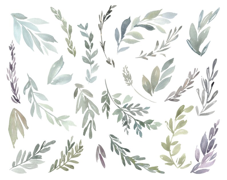 Watercolor Neutral Leaves Clipart Gray Light Green Greenery - Etsy