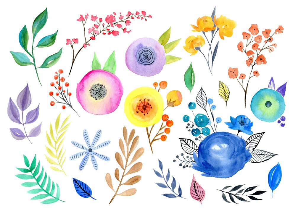 Watercolor Floral Clipart: 41 Bright Branches Flowers Leaves - Etsy