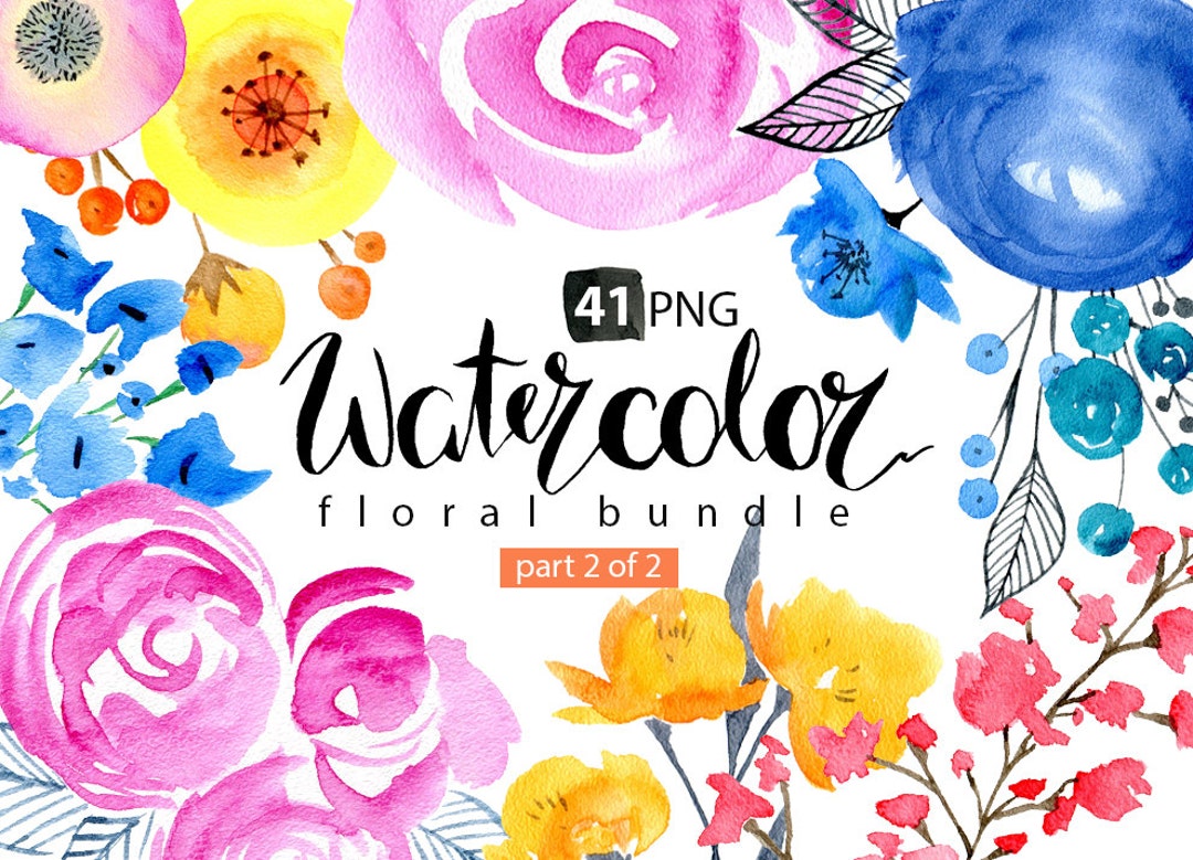 Watercolor Floral Clipart: 41 Bright Branches Flowers Leaves - Etsy